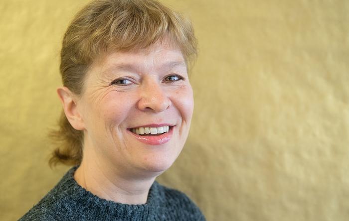 DIE GEMEINNÜTZIGEN BAUTRÄGER | Holliger, Bern